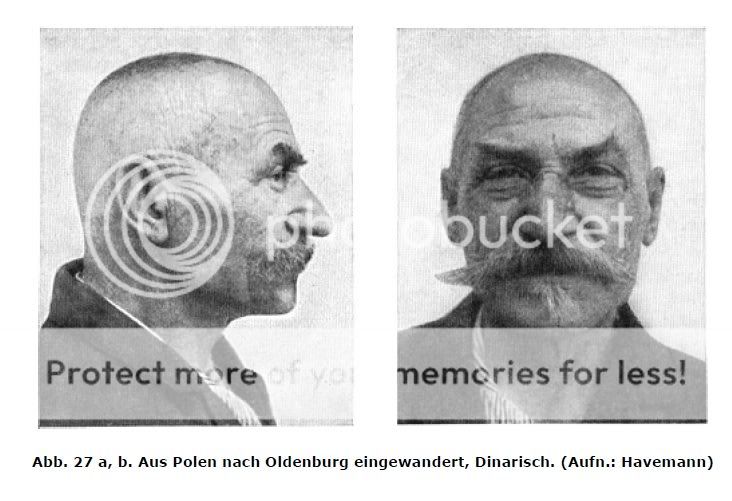 Dinaric/Dinarid Examples - Page 103